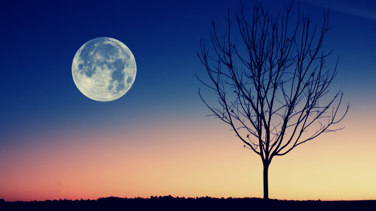 Women Crime Writers – Matthew M. Pincus